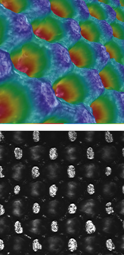 HITT High Ink Transfer Technology - www.caepty.com